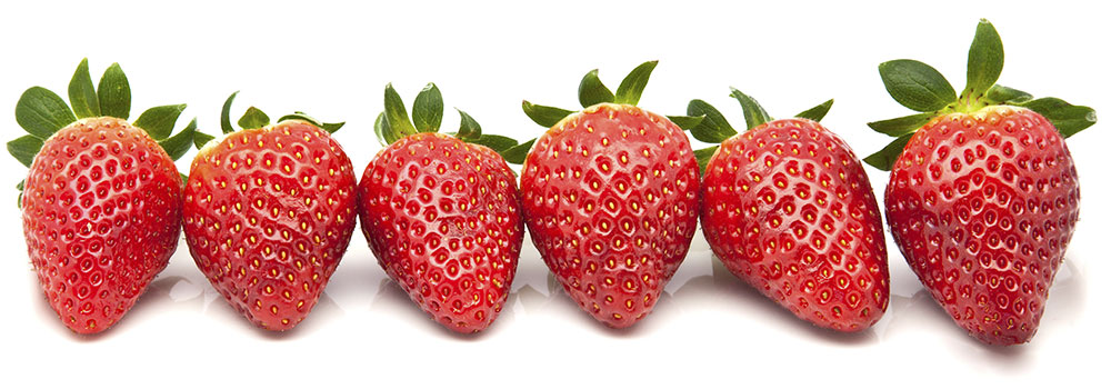 Fresón - Fruta Viva